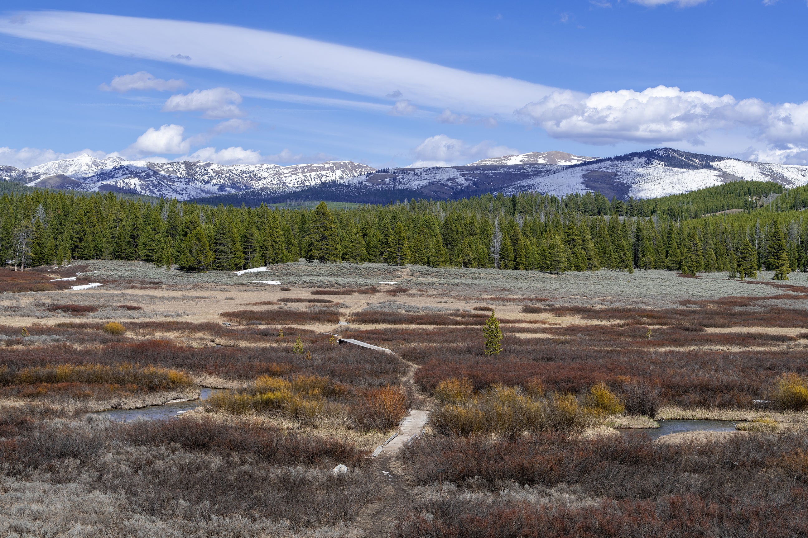 Yellowstone National Park - Fawn Pass - Framed Photo – AmazingAmerica